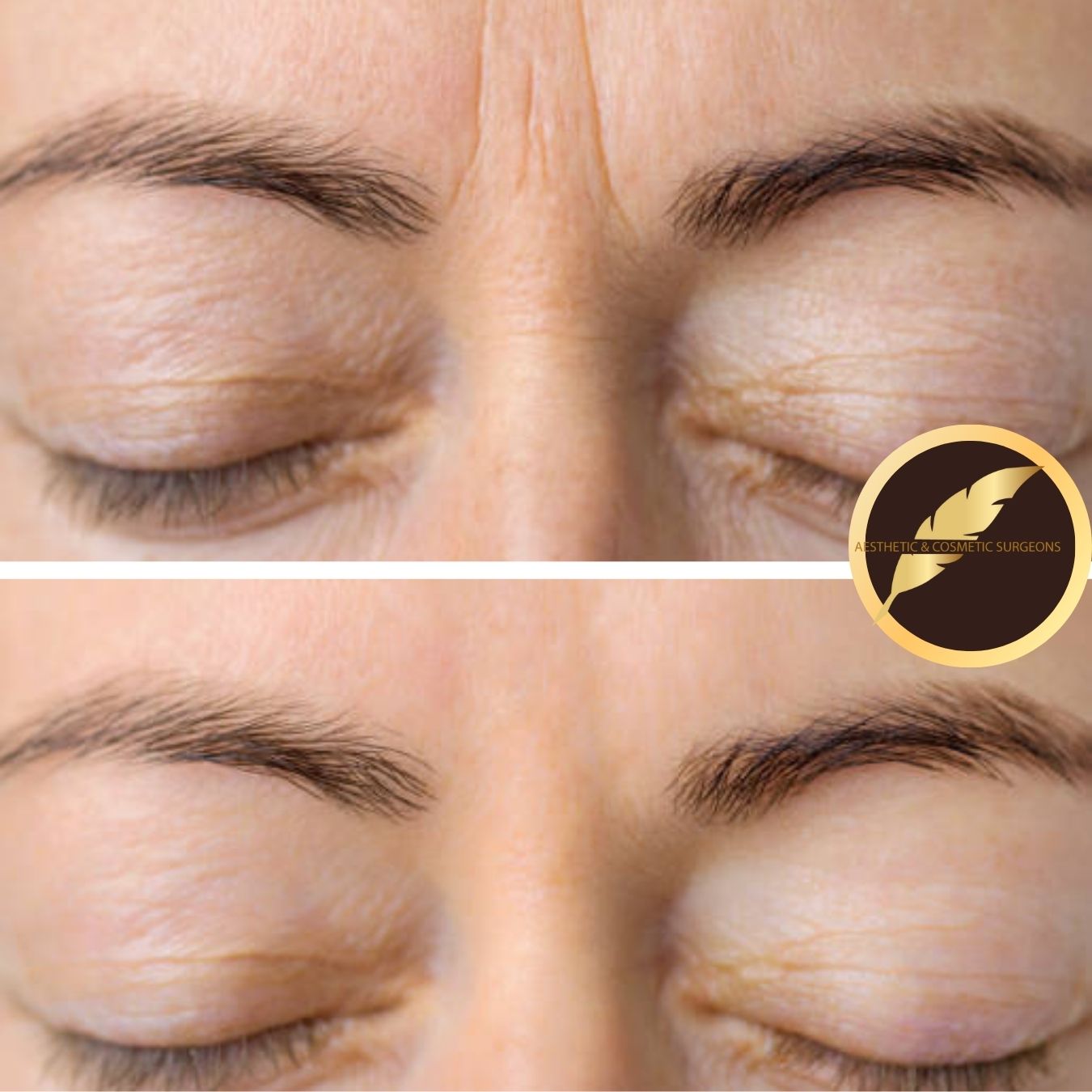 Aesthetic and Cosmetic Surgeons Portfolio