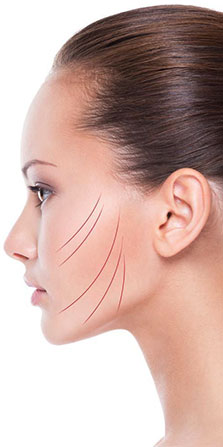 Aesthetic and Cosmetic Surgeons In Los Angeles